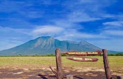Dijuluki Africa Van Java, Yuk Intip Keindahan Taman Nasional Baluran di Jawa Timur - Warta Zone